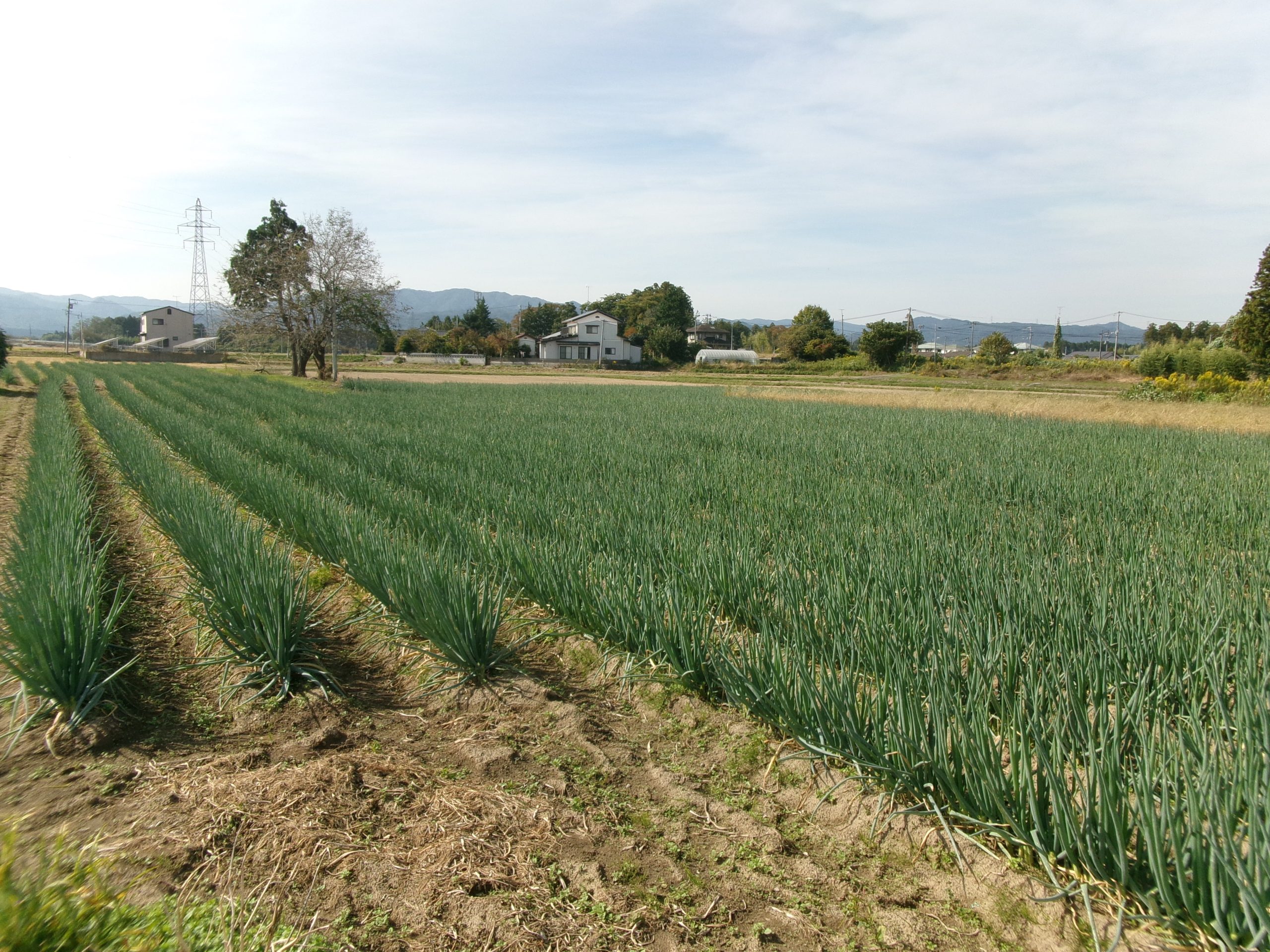 【活動報告】「令和5年度福島イノーベーション・コースト農業参入現地見学ツアー」を開催しました：福島イノベーション・コースト構想